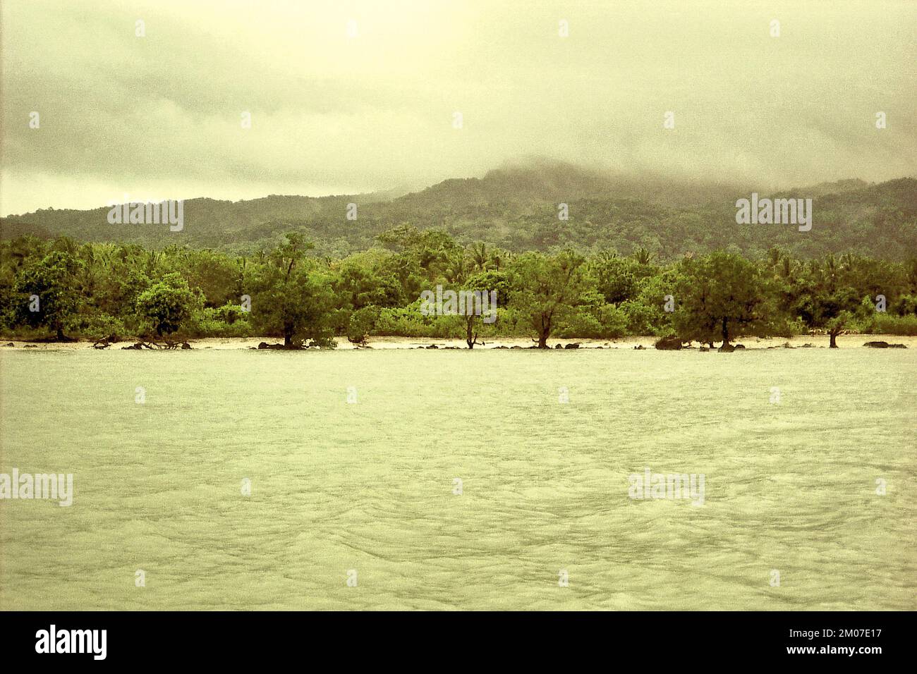 Coastal view in Ujung Kulon National Park, as seen from a boat moving ...