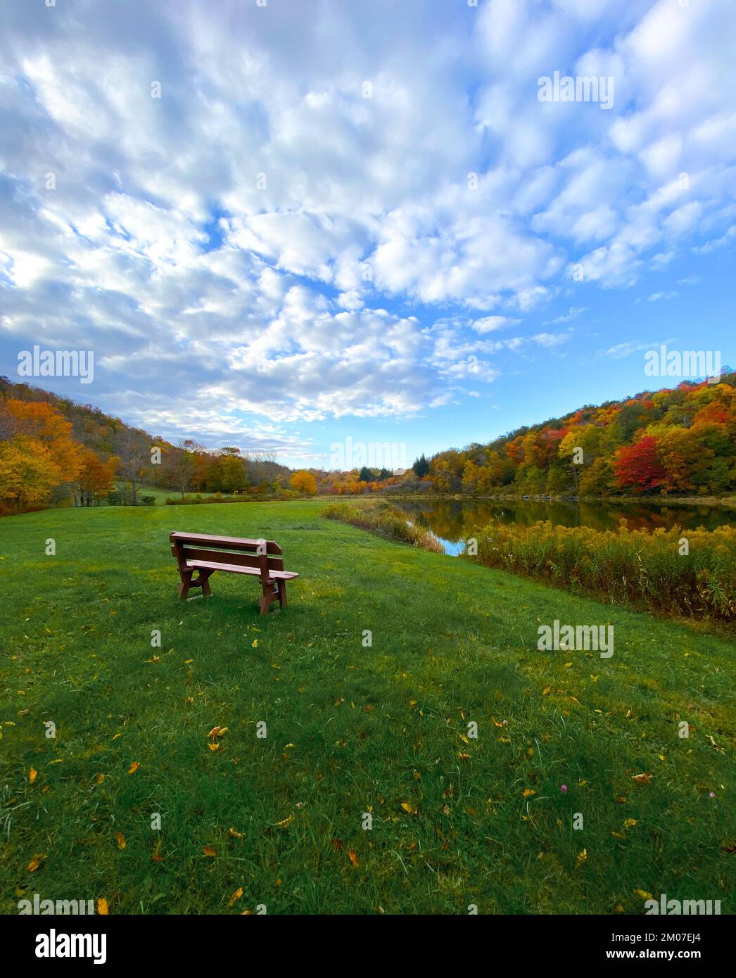 Empty wooden bench on the grass by the side of a small lake or pond ...