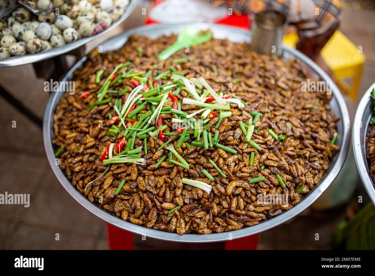 Udong, Cambodia. 19th Nov, 2022. A large tray of fried silk moth larvae ...