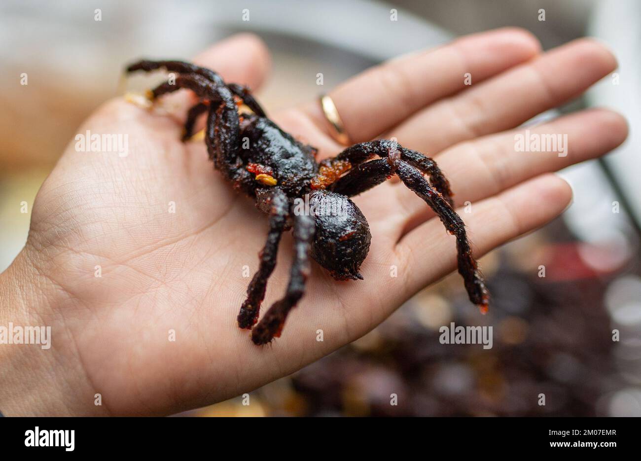 Udong, Cambodia. 19th Nov, 2022. A fried tarantula lies on a hand at the Udong market. In ...