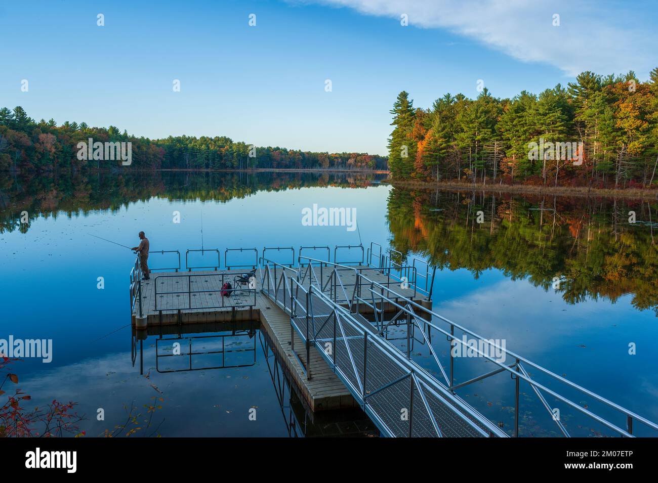 Broadleaf dock hi-res stock photography and images - Alamy
