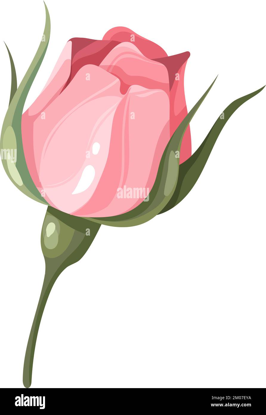 White bud and flower Stock Vector Images - Alamy
