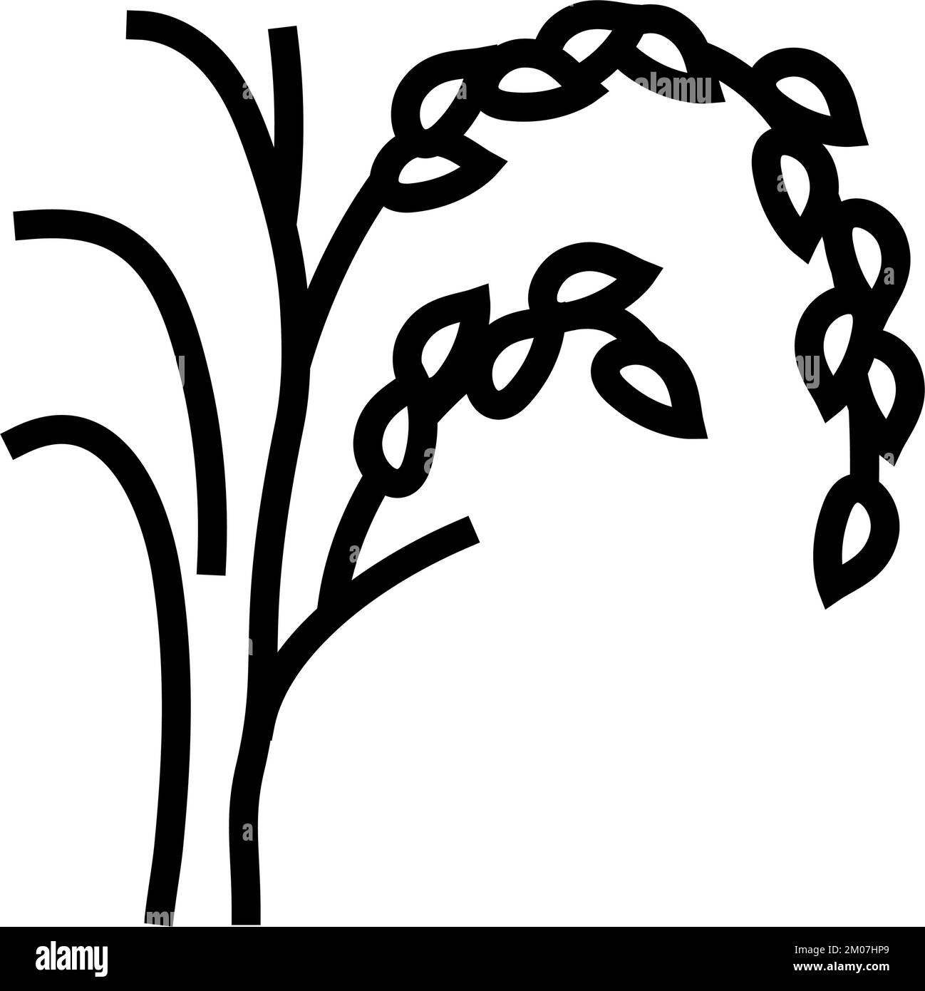 rice plant healthy line icon vector illustration Stock Vector Image ...