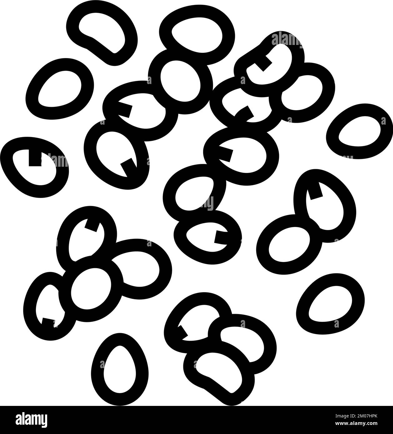 Sorghum cereal Black and White Stock Photos & Images - Alamy