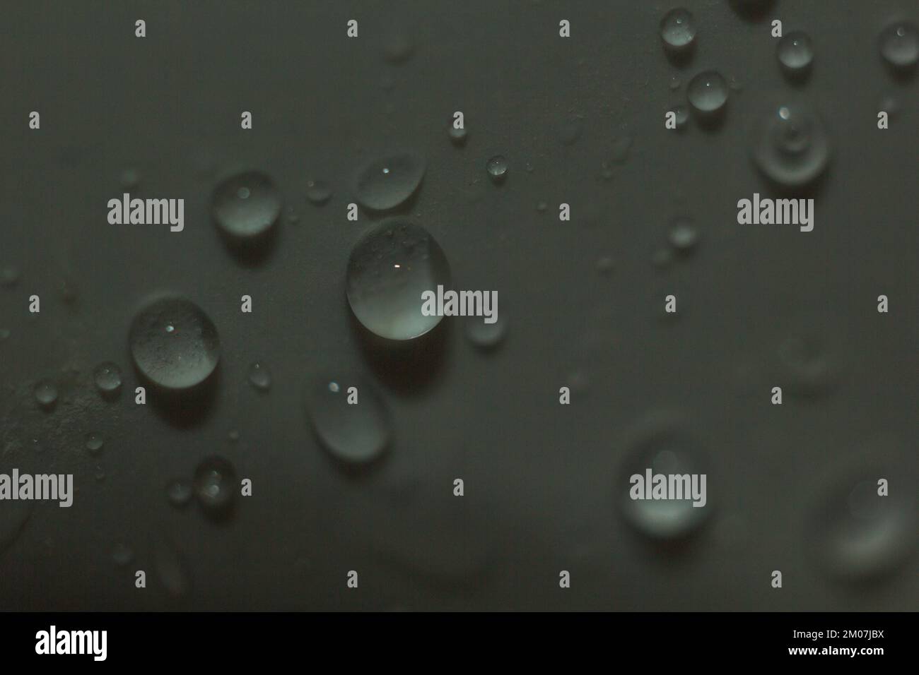 Close up water drops on grey tone background. Abstract white gray wet ...