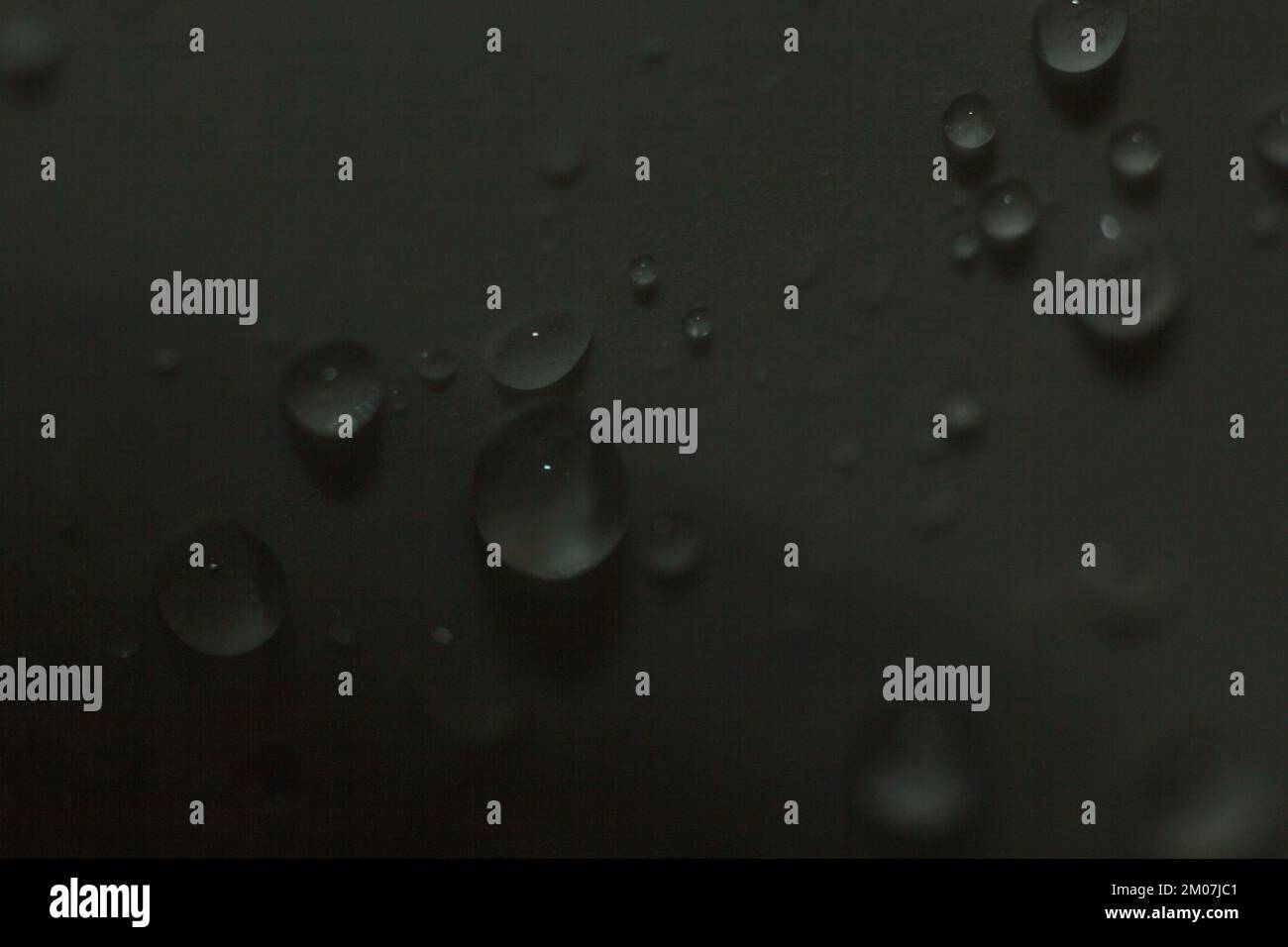 Close up water drops on grey tone background. Abstract white gray wet ...