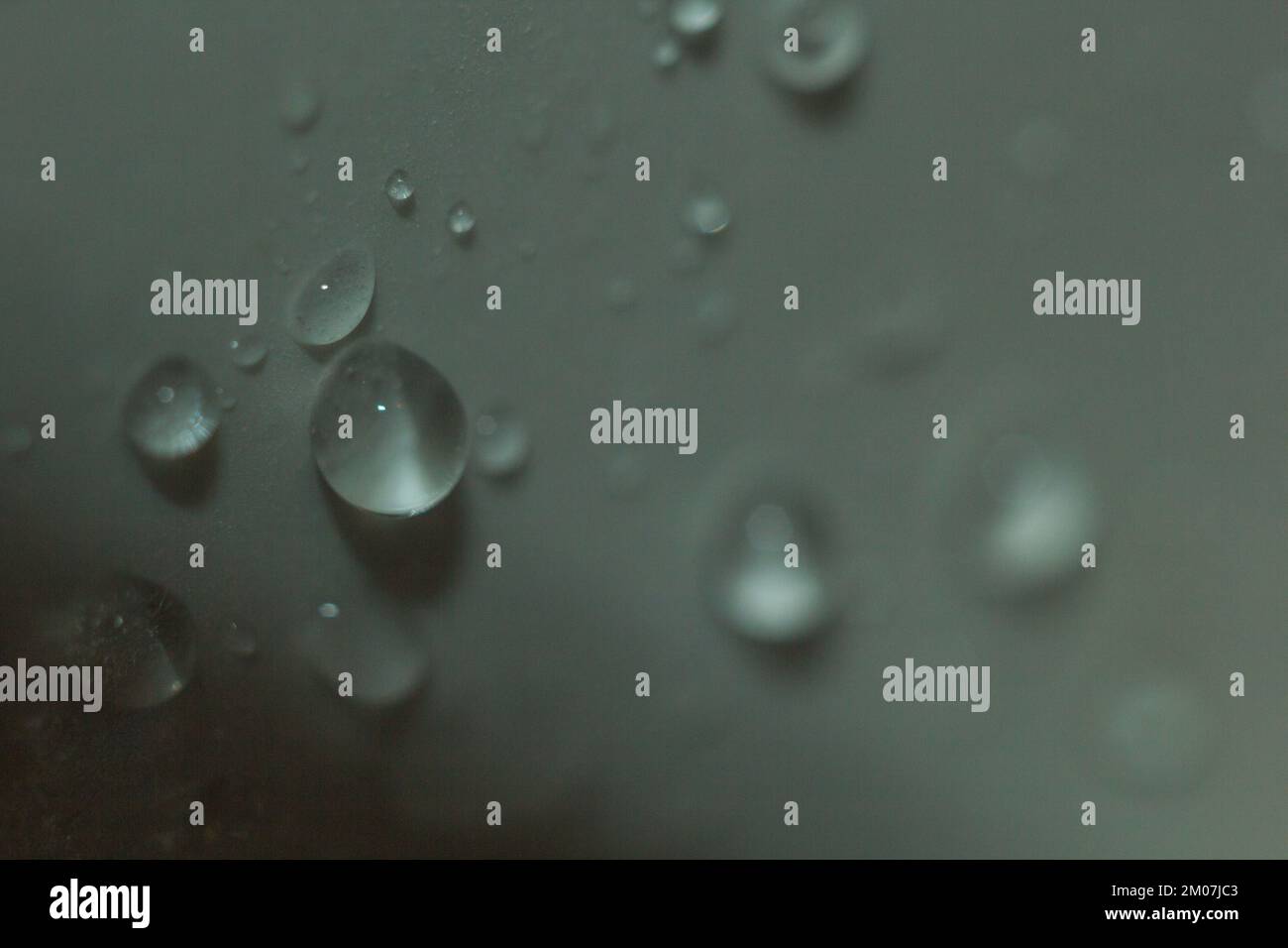 Close up water drops on grey tone background. Abstract white gray wet ...