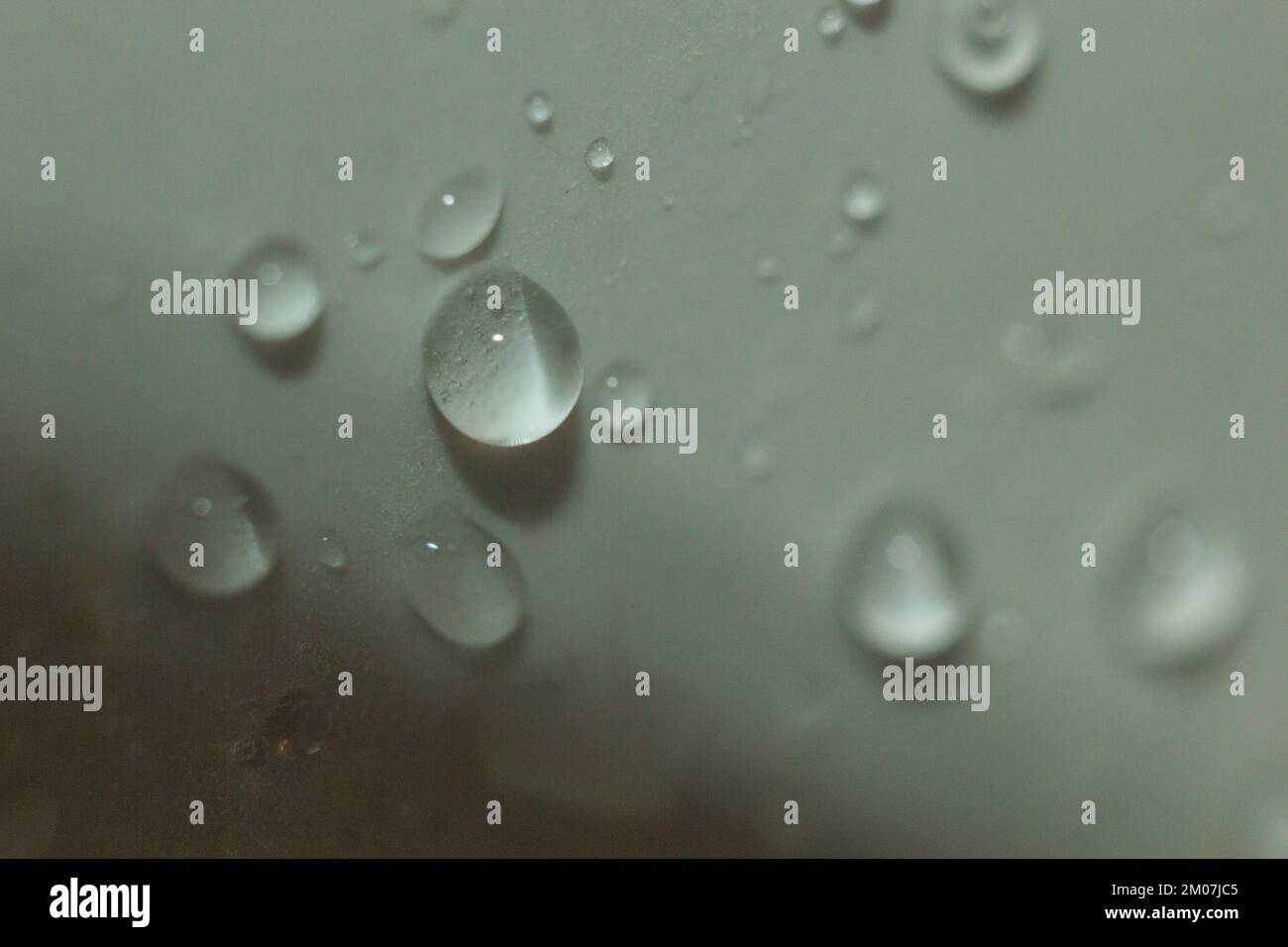 Close up water drops on grey tone background. Abstract white gray wet ...