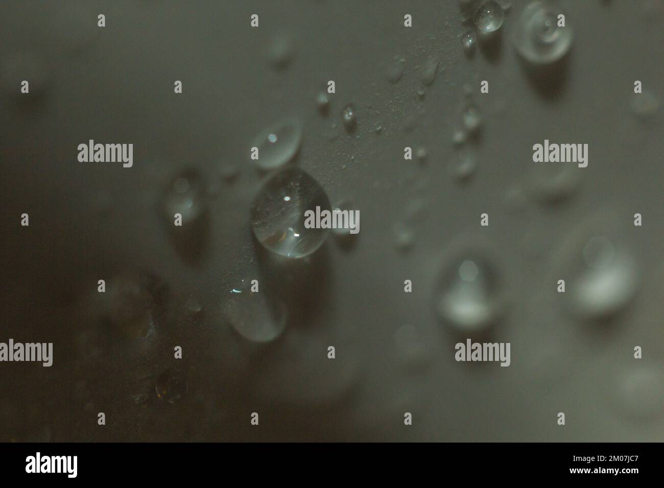 Close up water drops on grey tone background. Abstract white gray wet ...