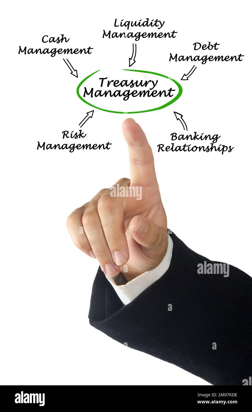 Five Components of Treasury Management Stock Photo - Alamy