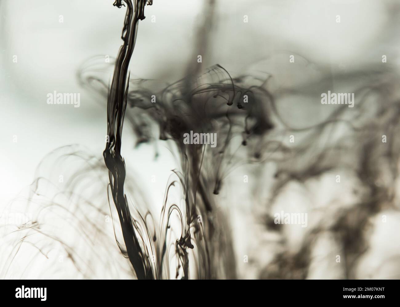 a cloud of ink in a transparent glass cup with clear water amid rays of ...