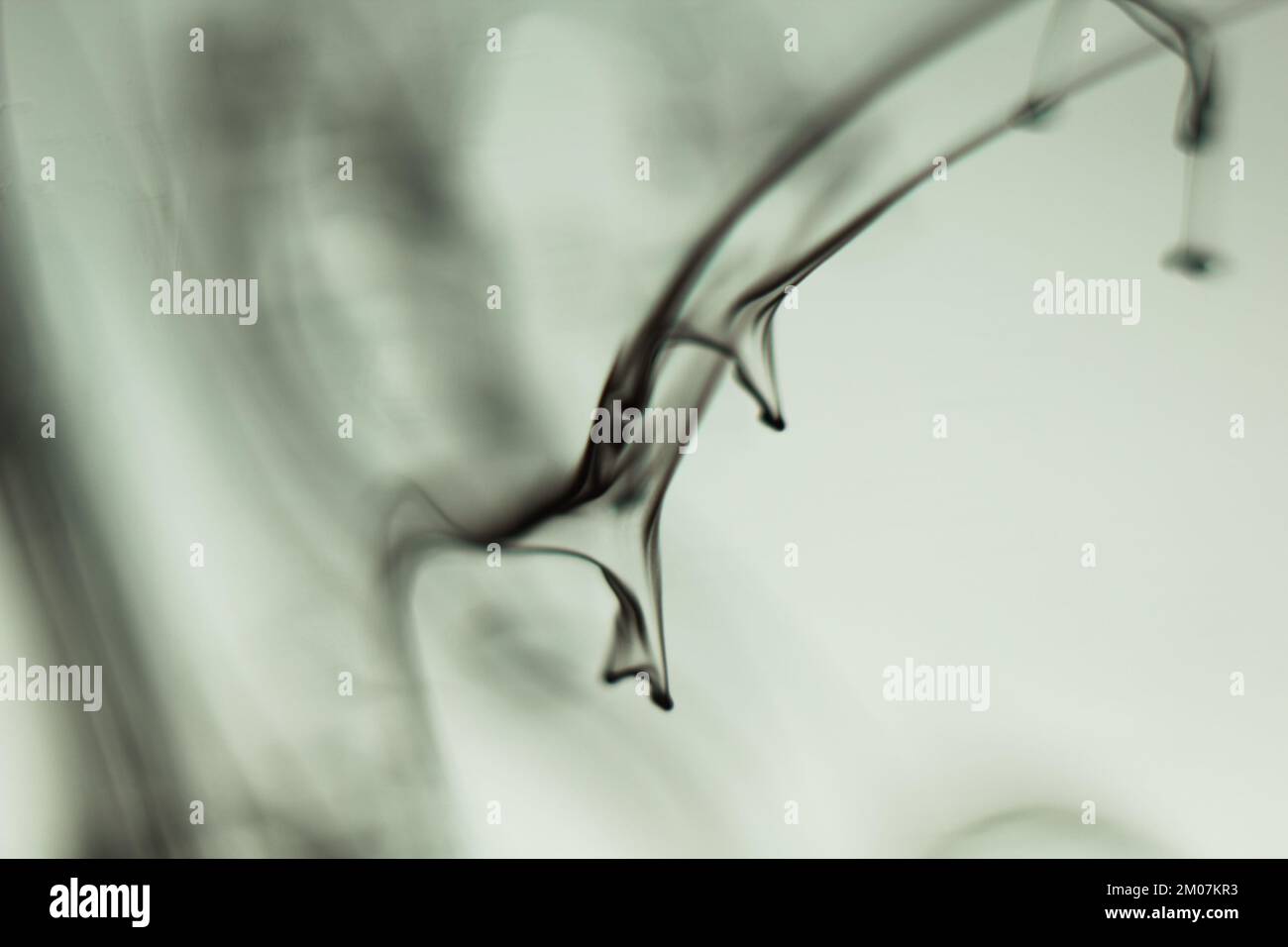 a cloud of ink in a transparent glass cup with clear water amid rays of ...