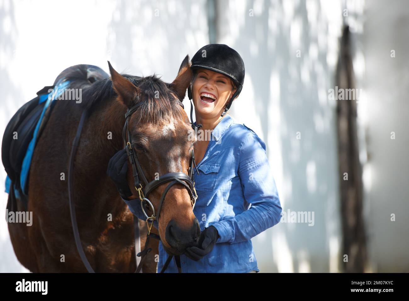 Excited horse hi-res stock photography and images - Alamy
