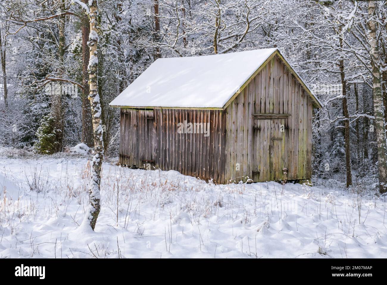 Unpainted wood shed hi-res stock photography and images - Alamy