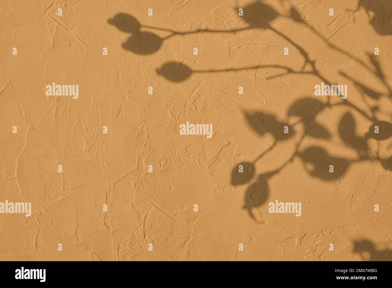 Shadow of leaves on beige concrete wall texture background Stock Photo - Alamy