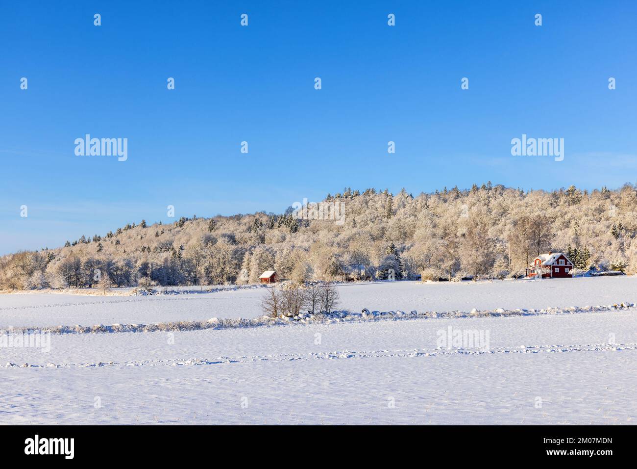Cold winter day in the countryside Stock Photo - Alamy