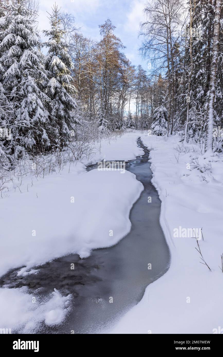 Beautiful frozen puddle hi-res stock photography and images - Alamy