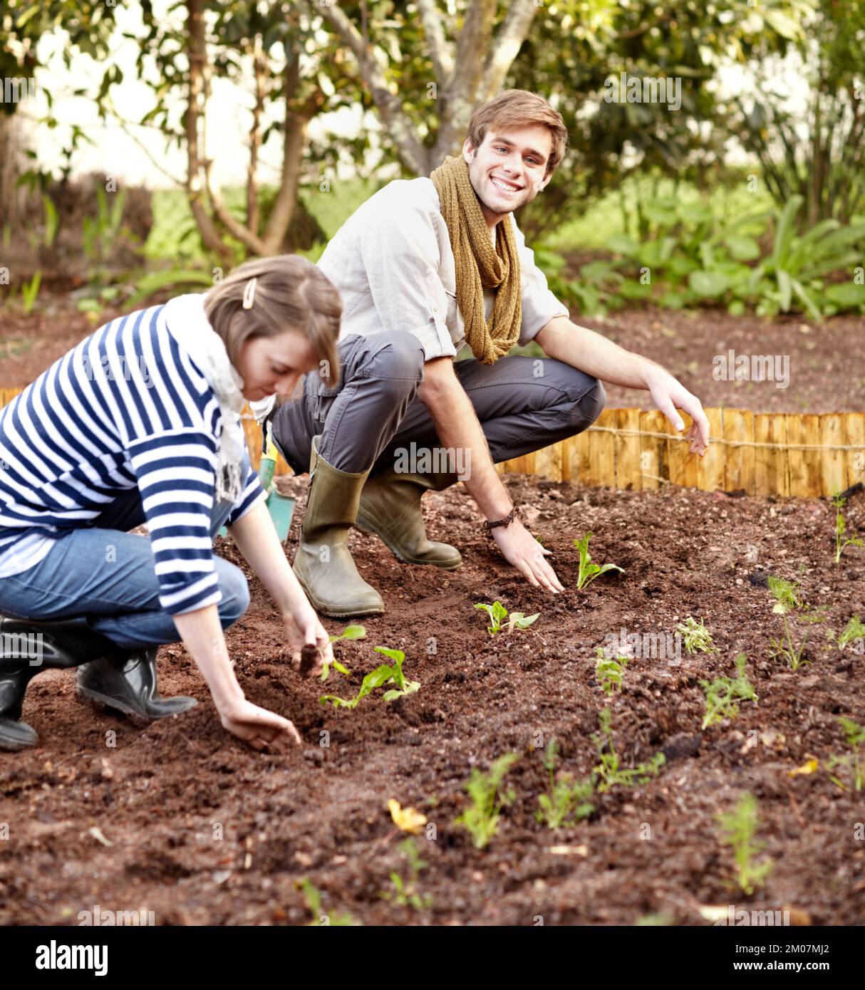 I cant wait till our first harvest. a young couple planting seedlings ...