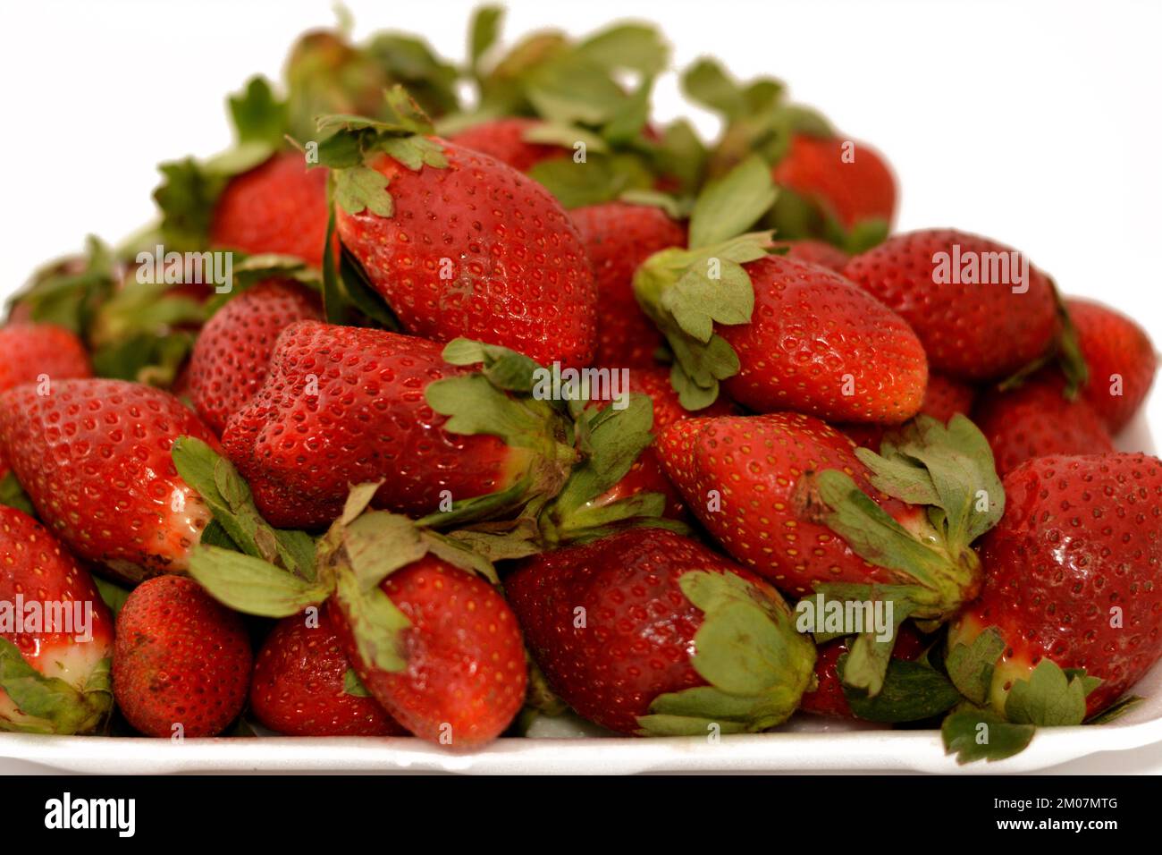 Pile of fresh strawberries fruit, the garden strawberry is a widely grown hybrid species of the ...