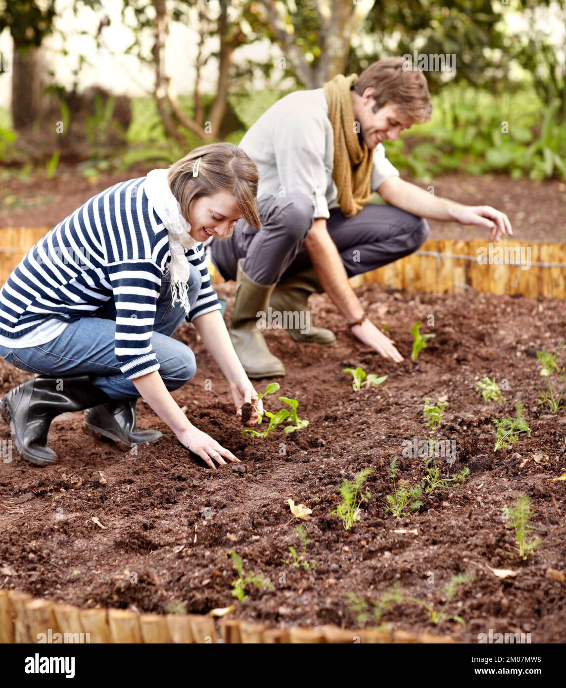 Spacing is the key to successful planting. a young couple planting ...