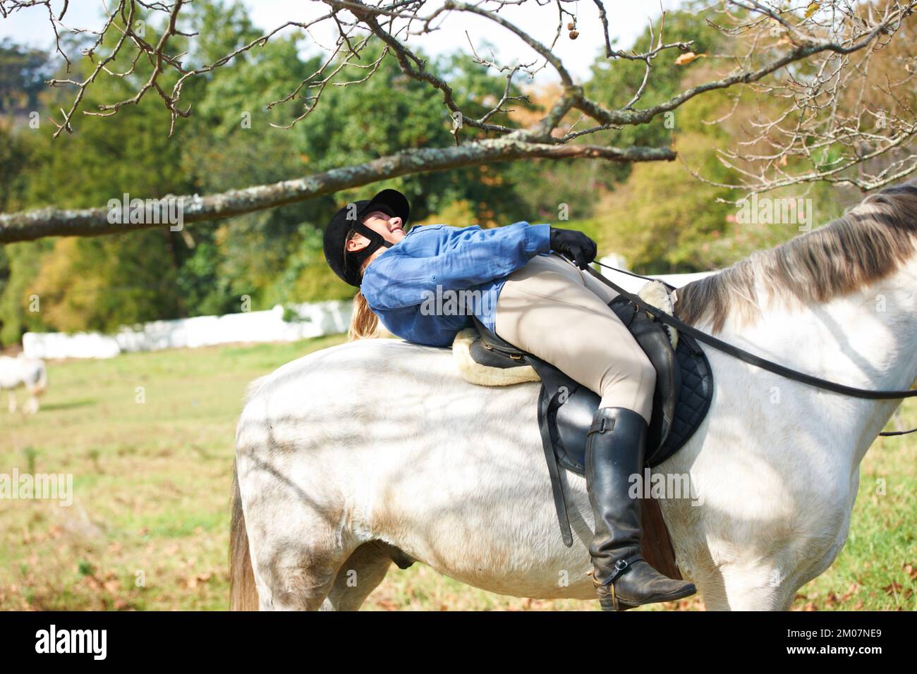 Wow, thats a low branch. A young woman ducking under a branch while riding her horse Stock Photo ...
