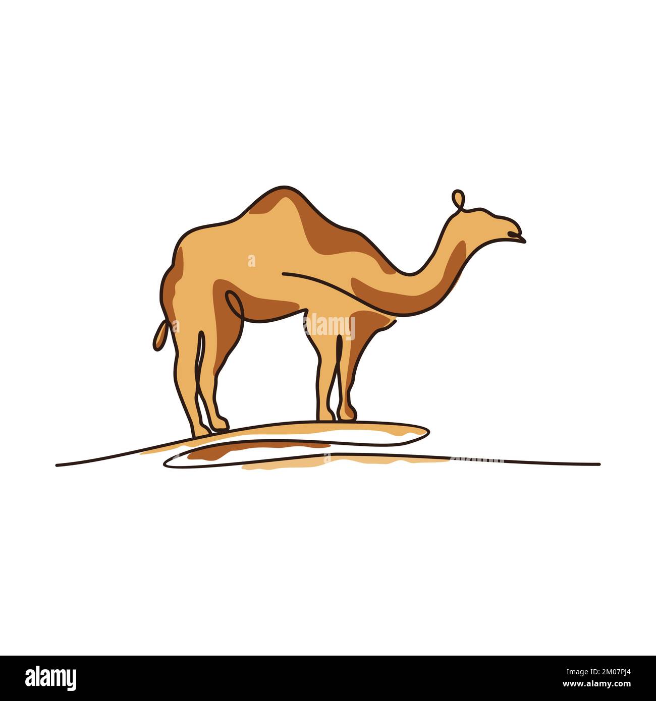 Camel Cigarettes Logo Vector