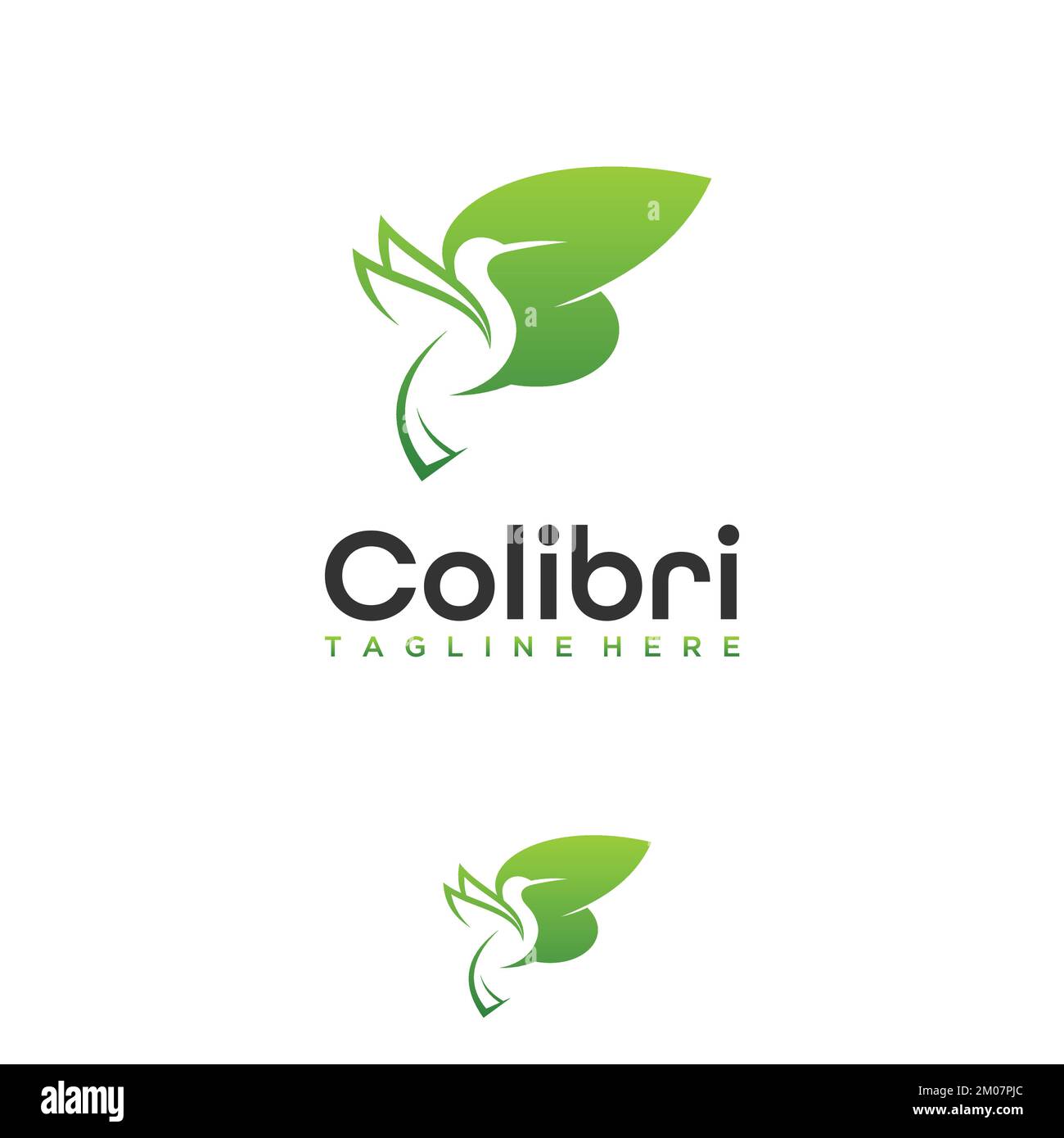 Hummingbird logo design vector template. Vector illustration EPS.8 EPS ...