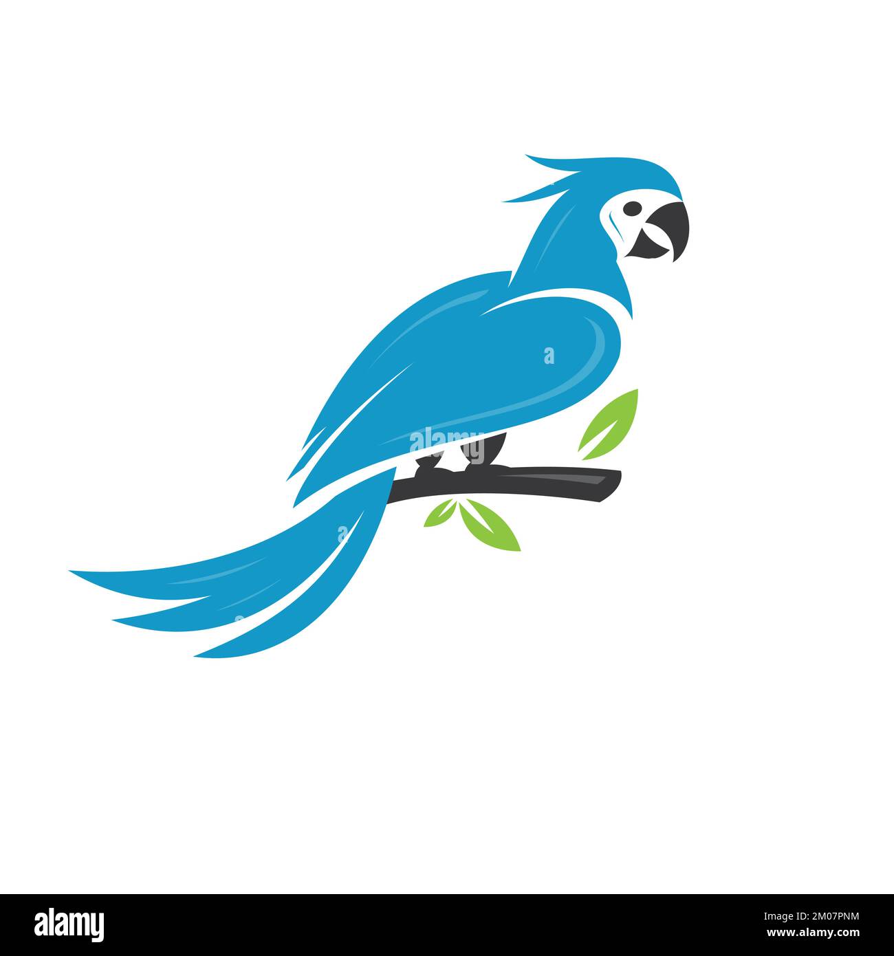 Blue Macaw Parrot vector isolated icon. Vector illustration Stock ...