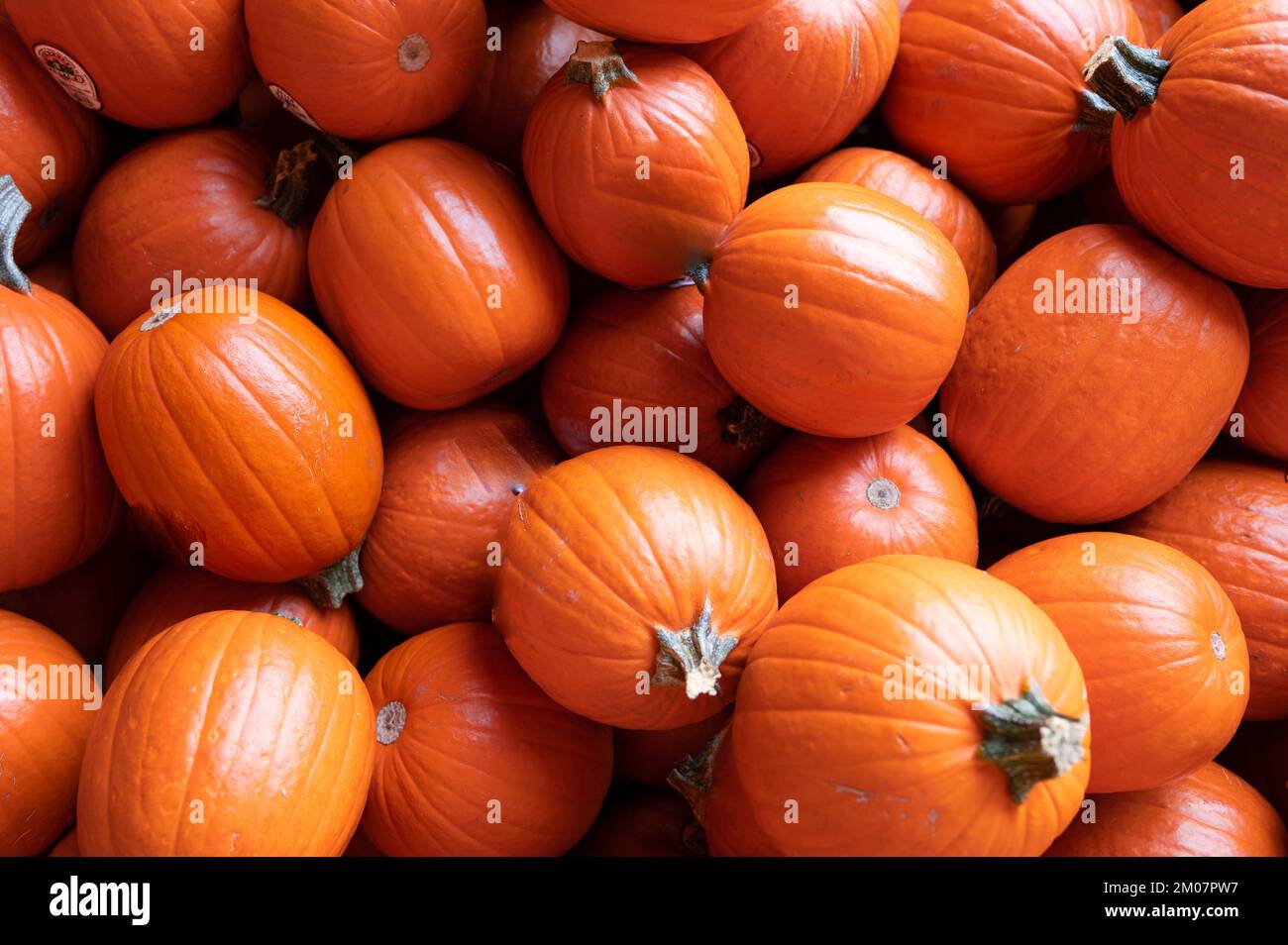 Pimpkins hi-res stock photography and images - Alamy