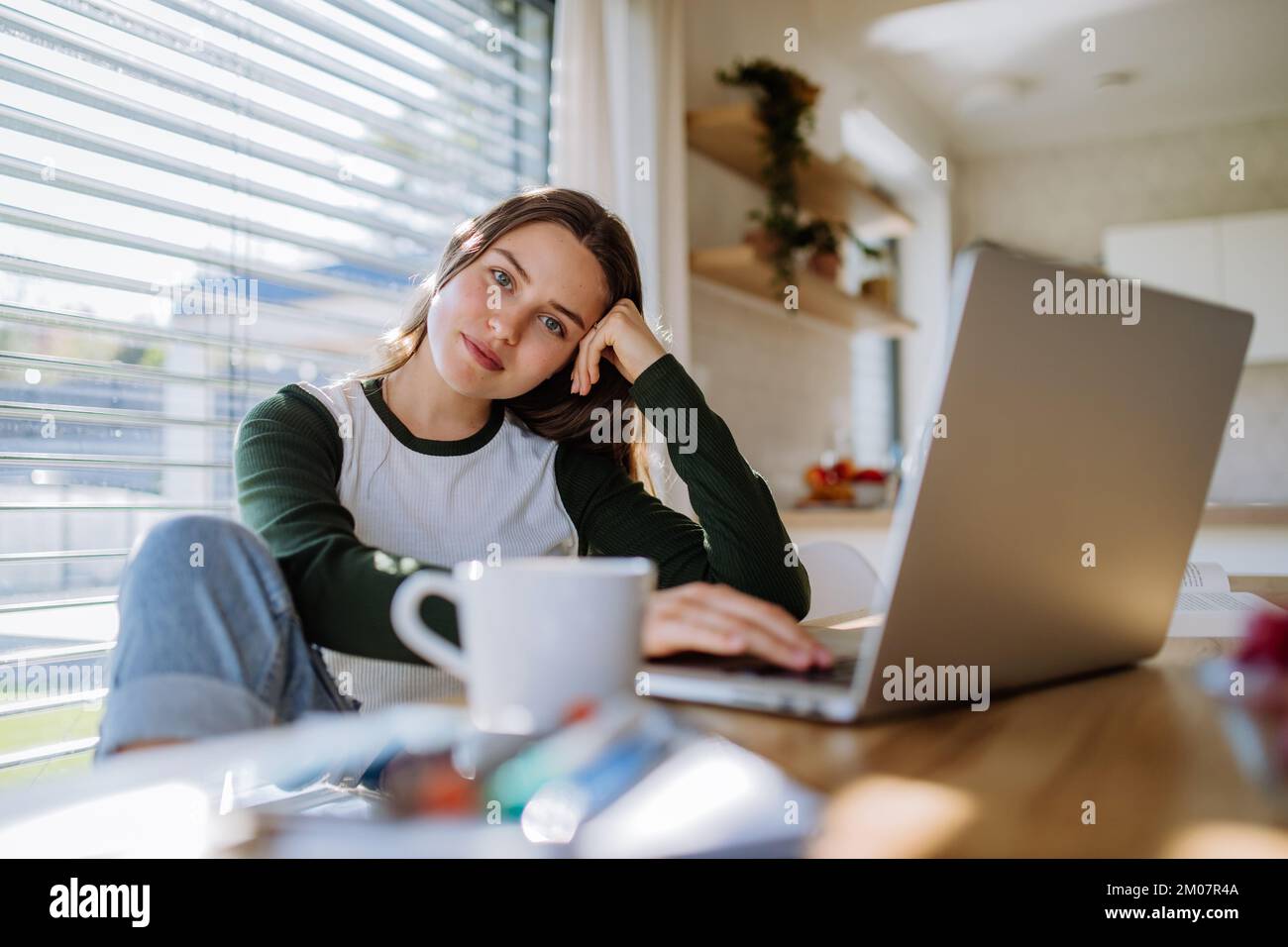 Portrait of bored woman with laptop, homeoffice concept Stock Photo - Alamy