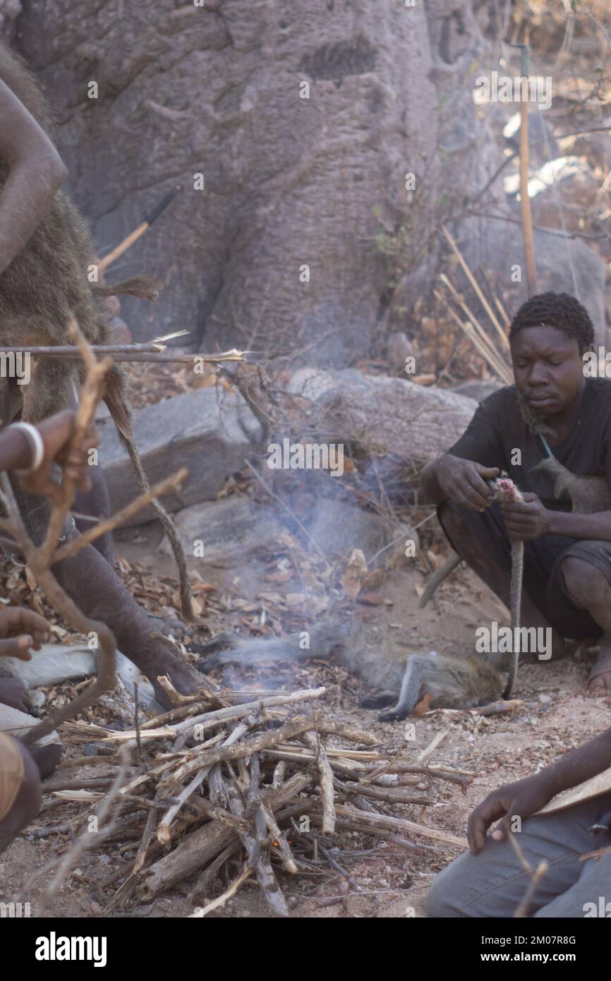 Hunter gatherer hadza tribe hunting hi-res stock photography and images ...