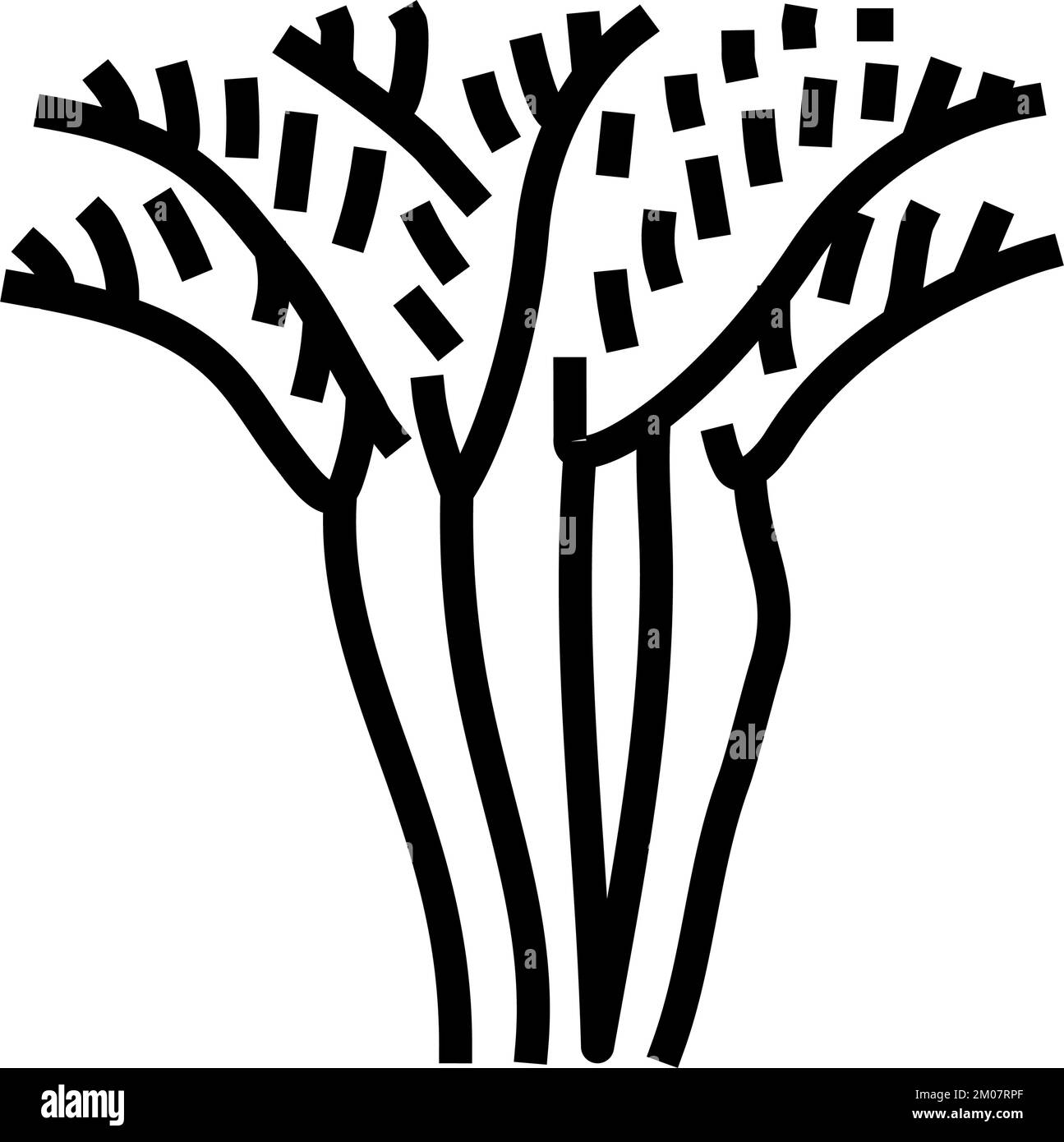 areca palm tree line icon vector illustration Stock Vector Image & Art ... areca palm tree line icon vector illustration Stock Vector Image & Art ...