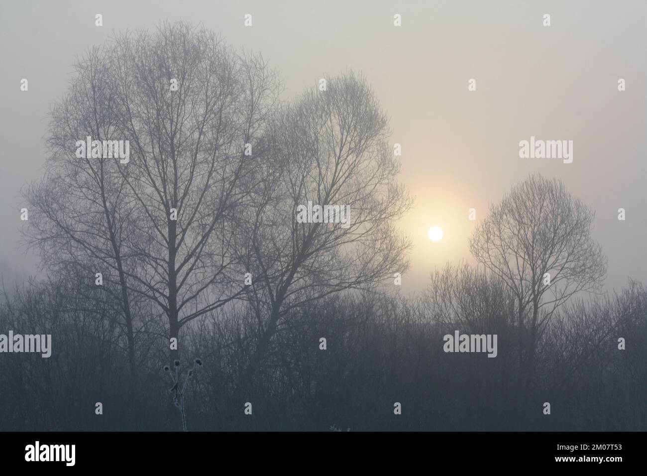 Foggy landscape photography hi-res stock photography and images - Alamy