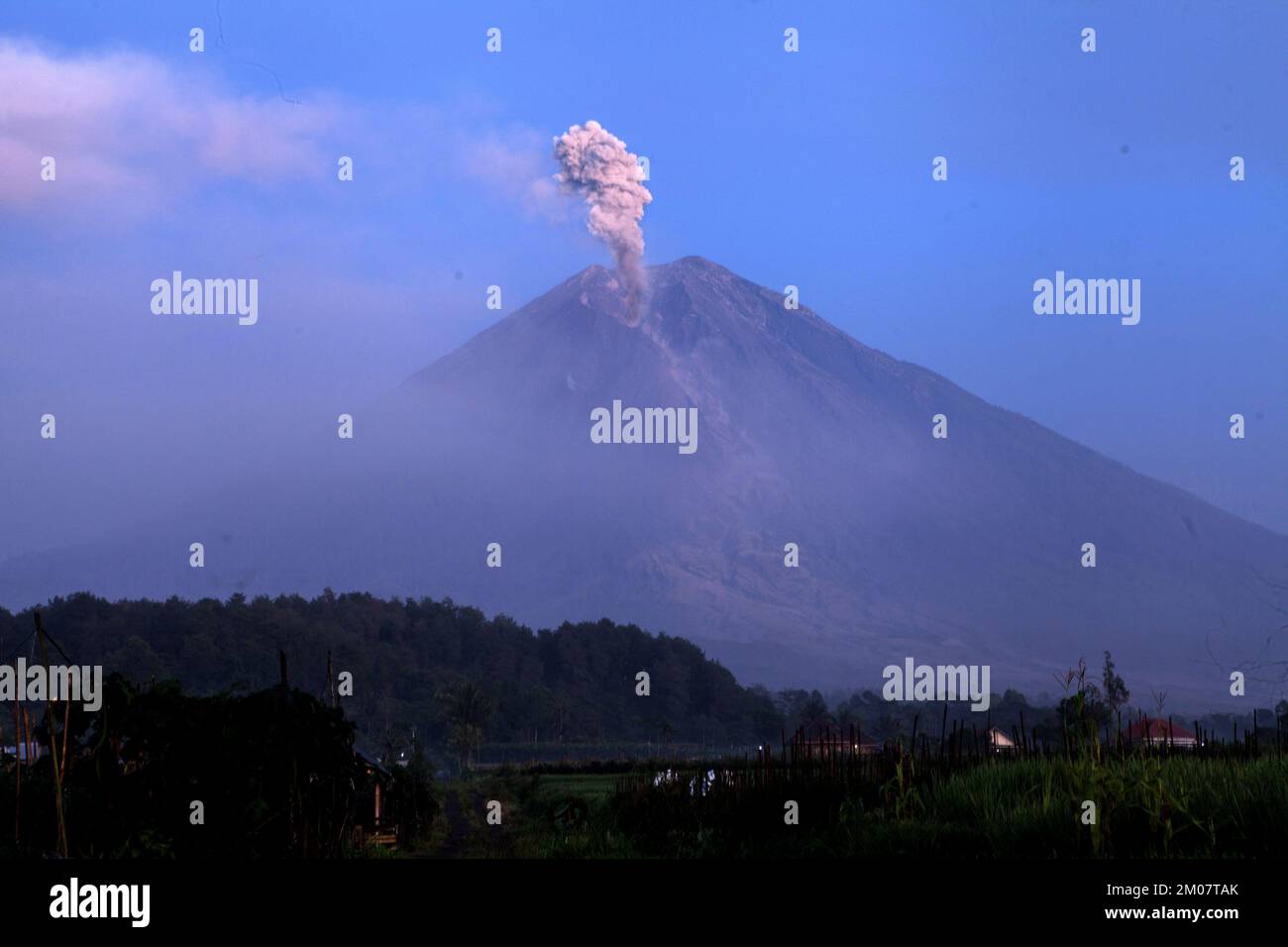 Lumajang. 5th Dec, 2022. This photo taken on Dec. 5, 2022 shows ...