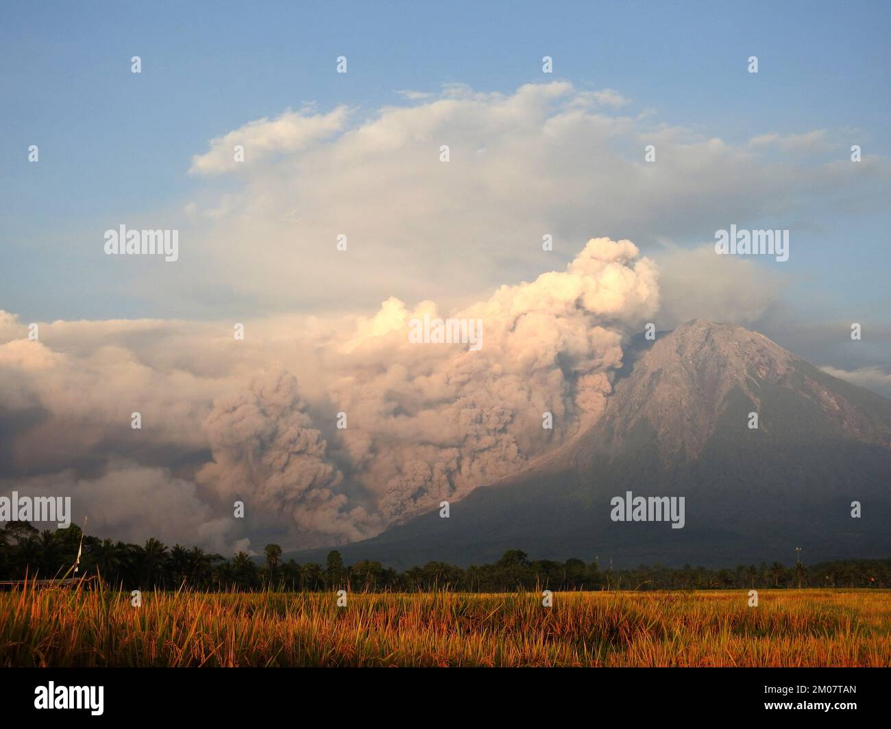 Lumajang. 4th Dec, 2022. This photo taken on Dec. 4, 2022 shows ...