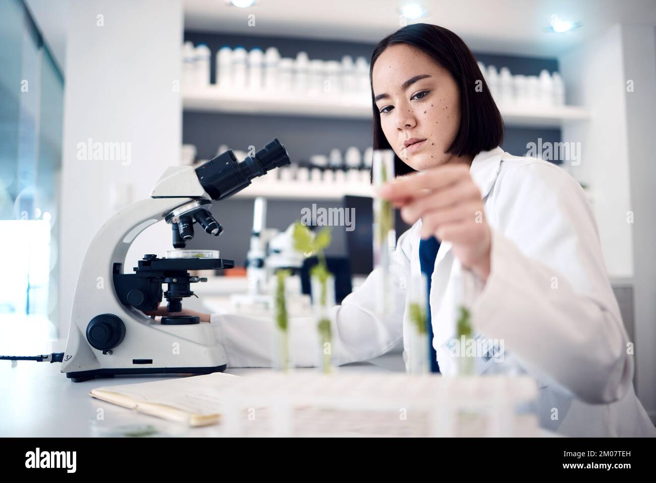 Lab, microscope or woman scientist with plant in test tube, analytics ...