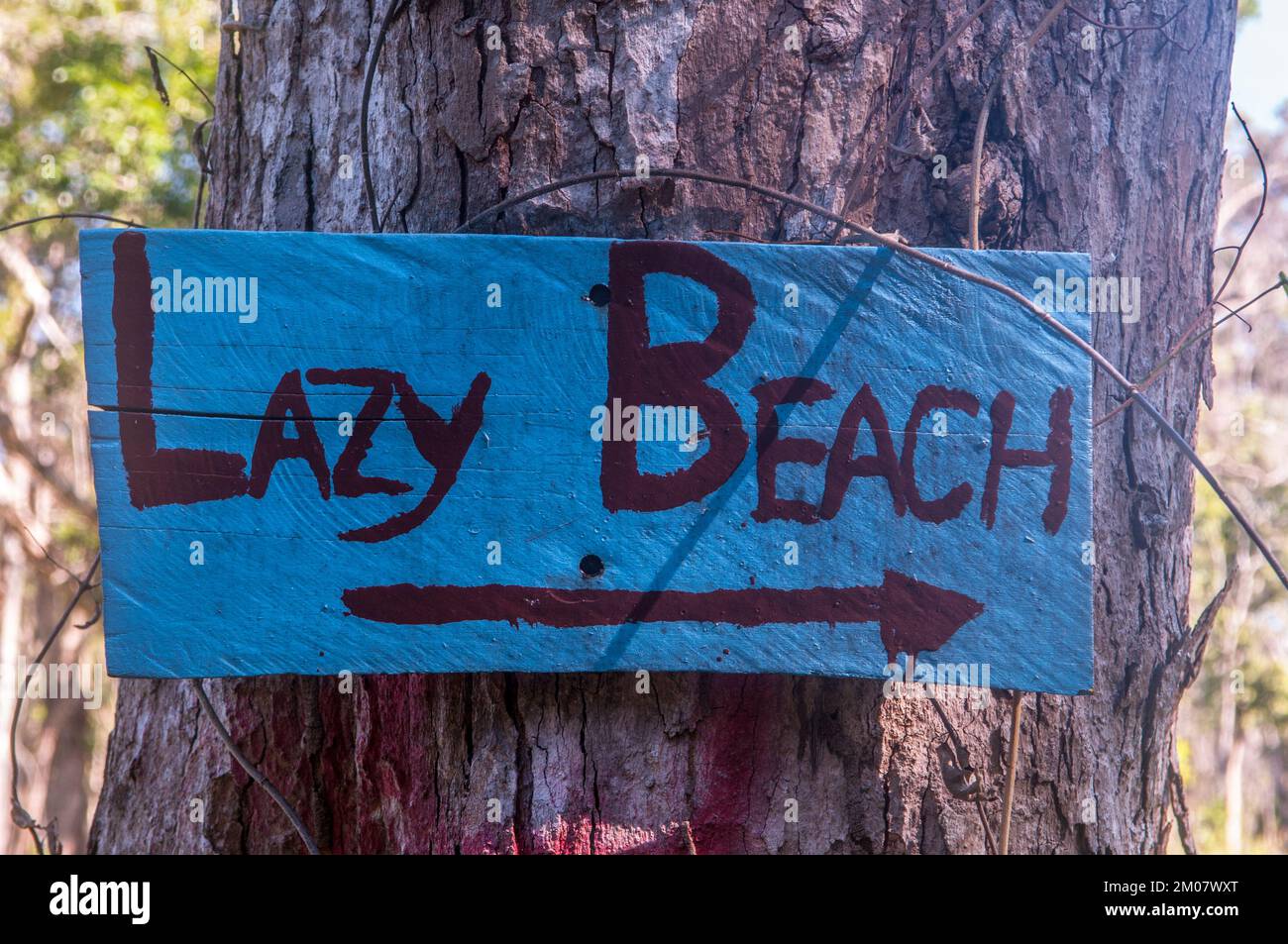 a hand painted sign on the jungle trail between Saracen Bay & Lazy ...