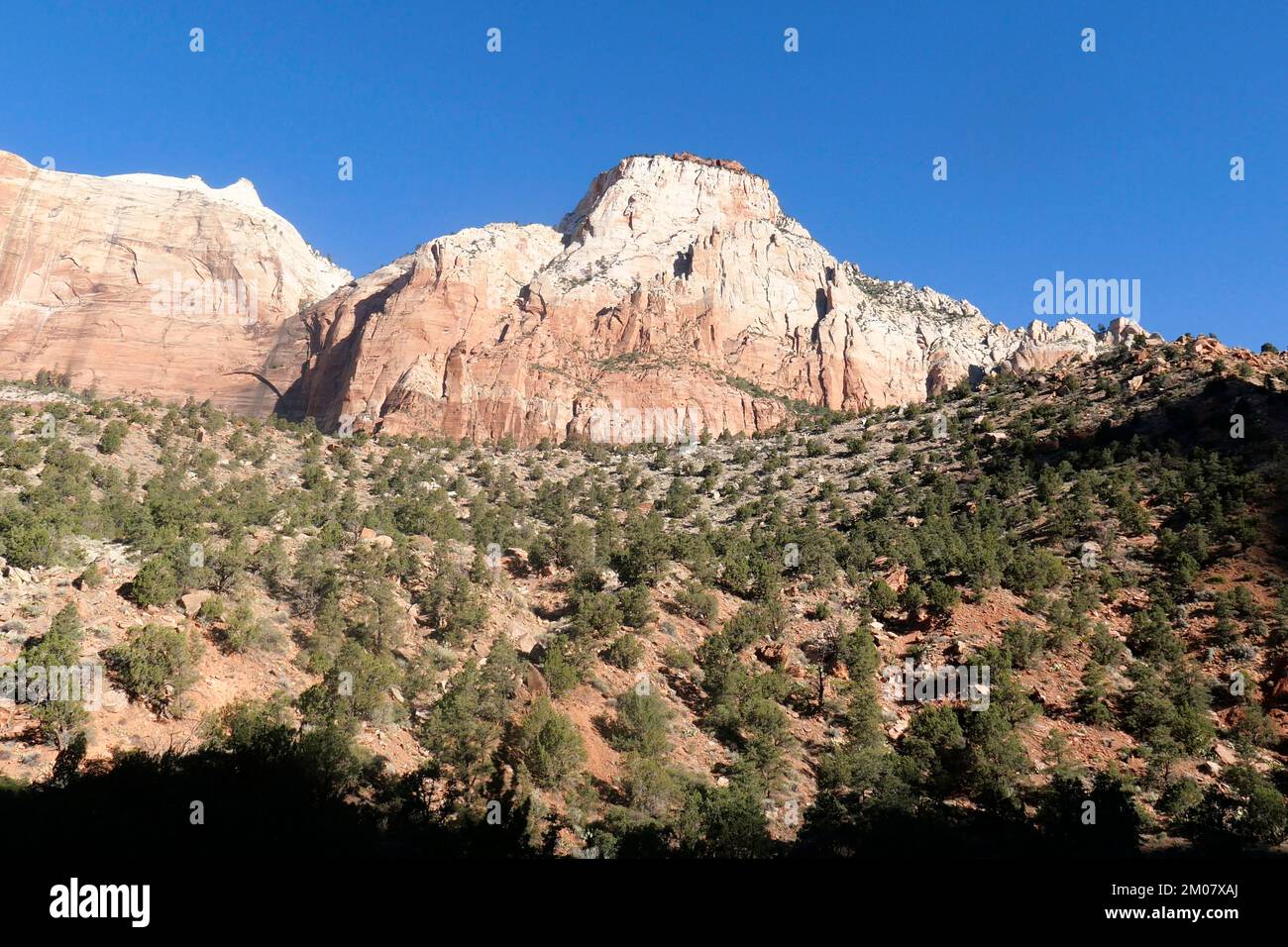 scenic mountain landscape in the zion national park, Utah, USA Stock ...