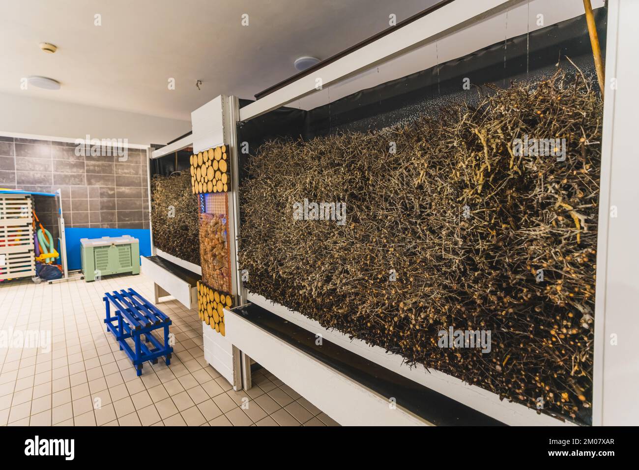 Brine Pools Ocean Floor