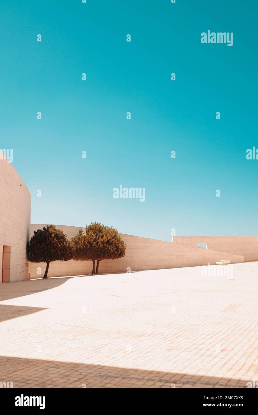 A vertical low-angle of sunlit trees near the building clear sunlit sky background Stock Photo ...