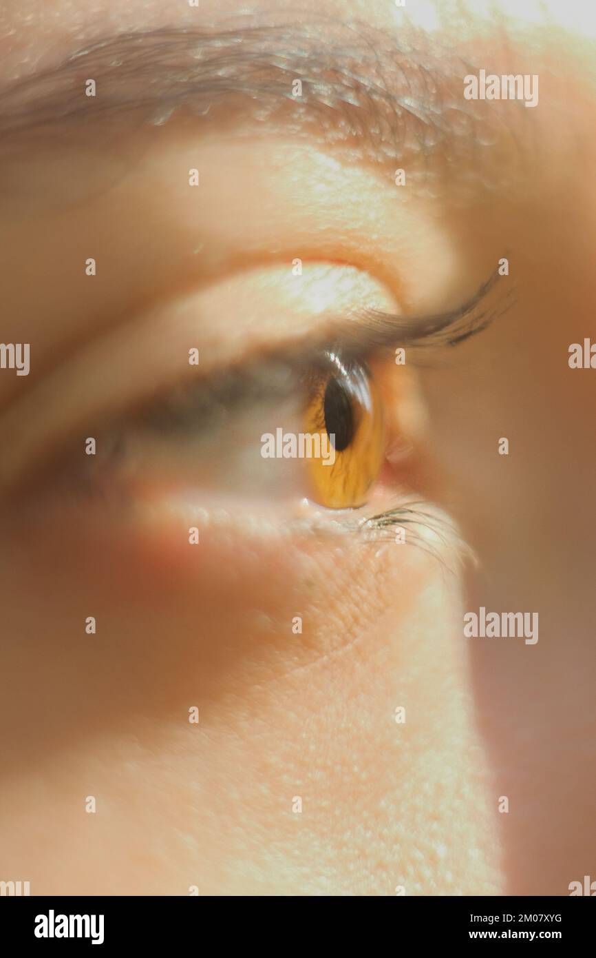 close up of a woman eye Stock Photo - Alamy