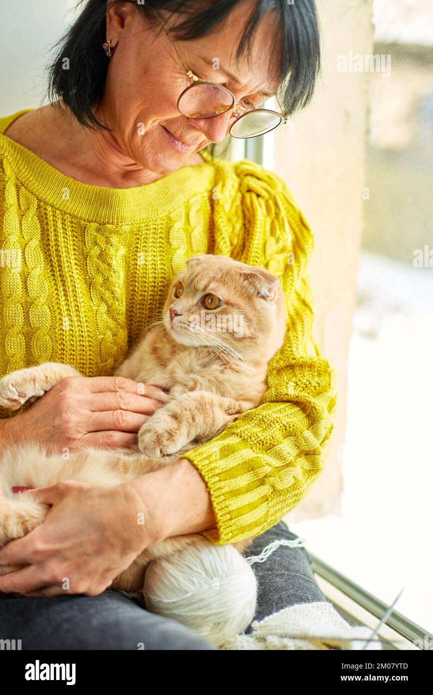 Mature woman with knitting holding cute scottish cat, sitting on ...
