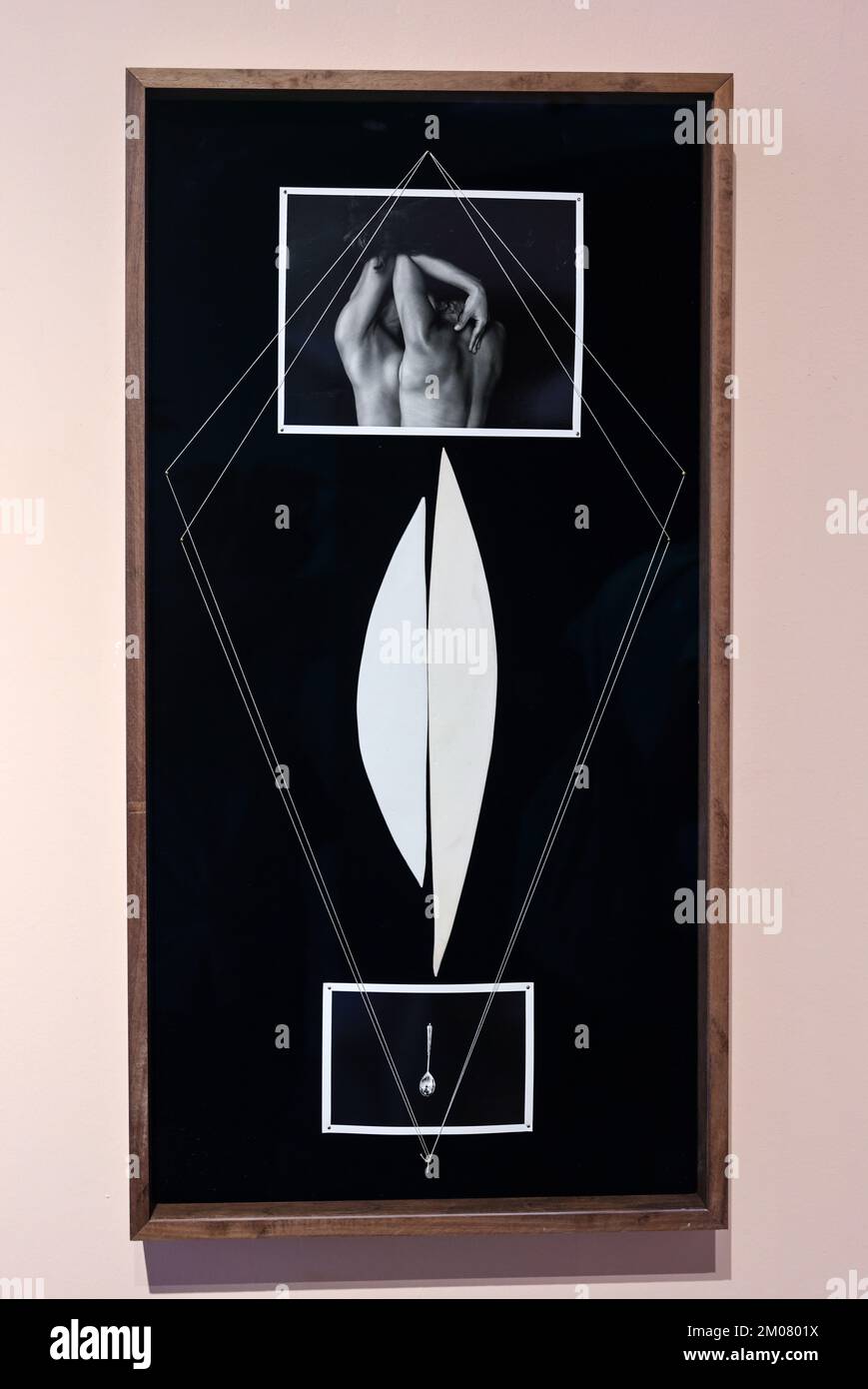 Corporeal nature hi-res stock photography and images - Alamy