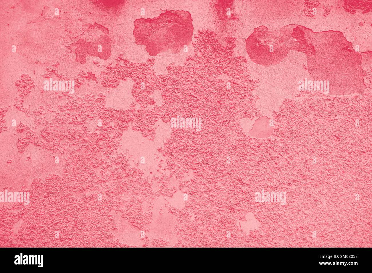 Background of peeling Magenta paint on an old textured wall. Color Of ...
