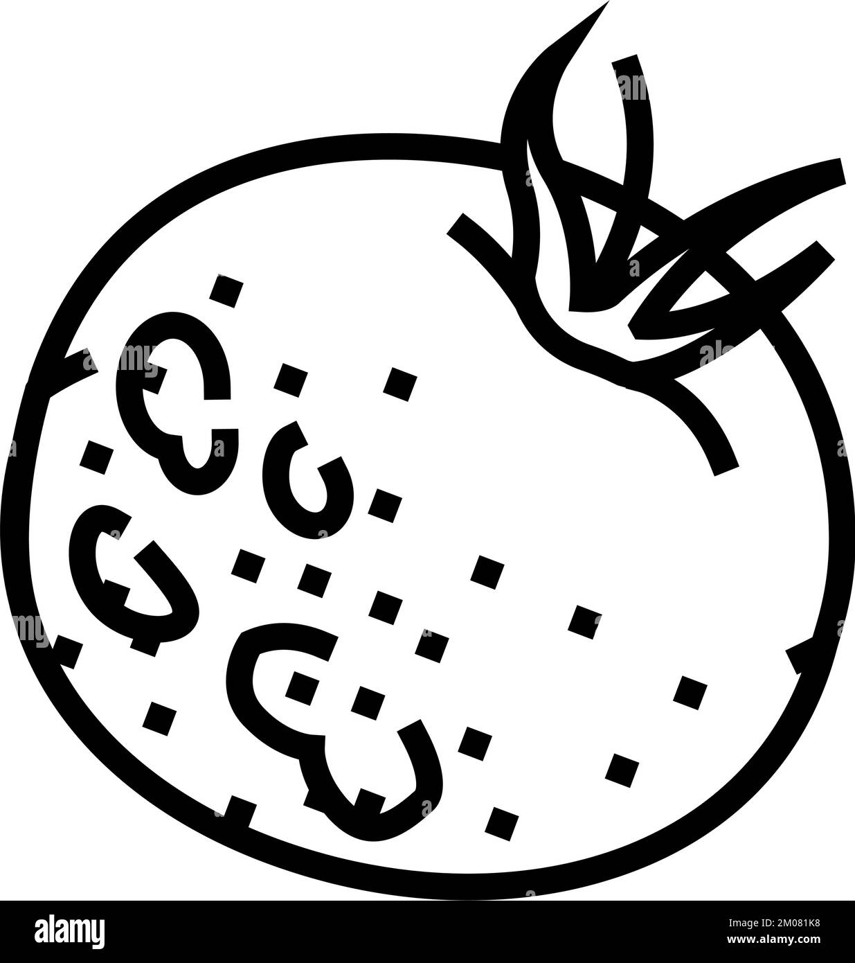 tomato rotten food line icon vector illustration Stock Vector Image ...