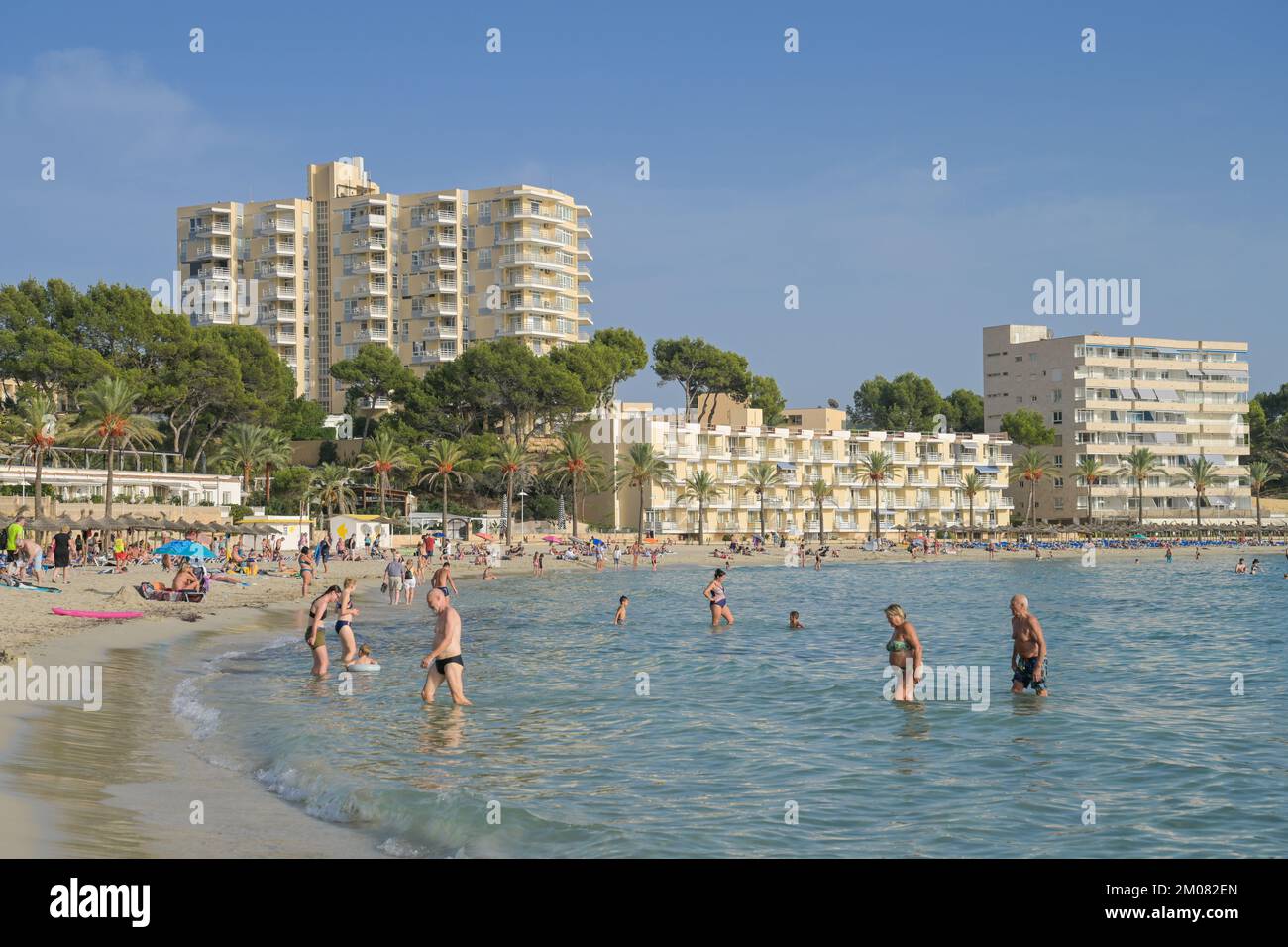 Strand Platja Gran de Tora, Paguera, Mallorca, Spanien Stock Photo - Alamy
