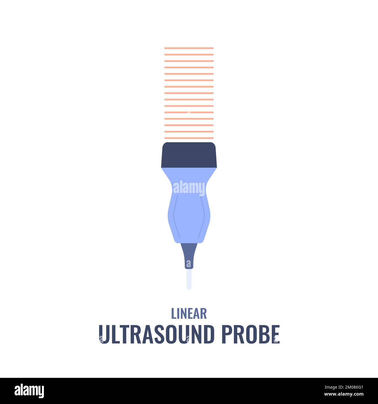 Linear Ultrasound Probe Transducer Sonography Diagram Illustration