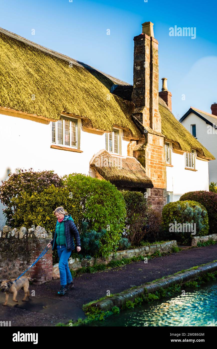 Autumn comes to Otterton Village. The stream Stock Photo - Alamy