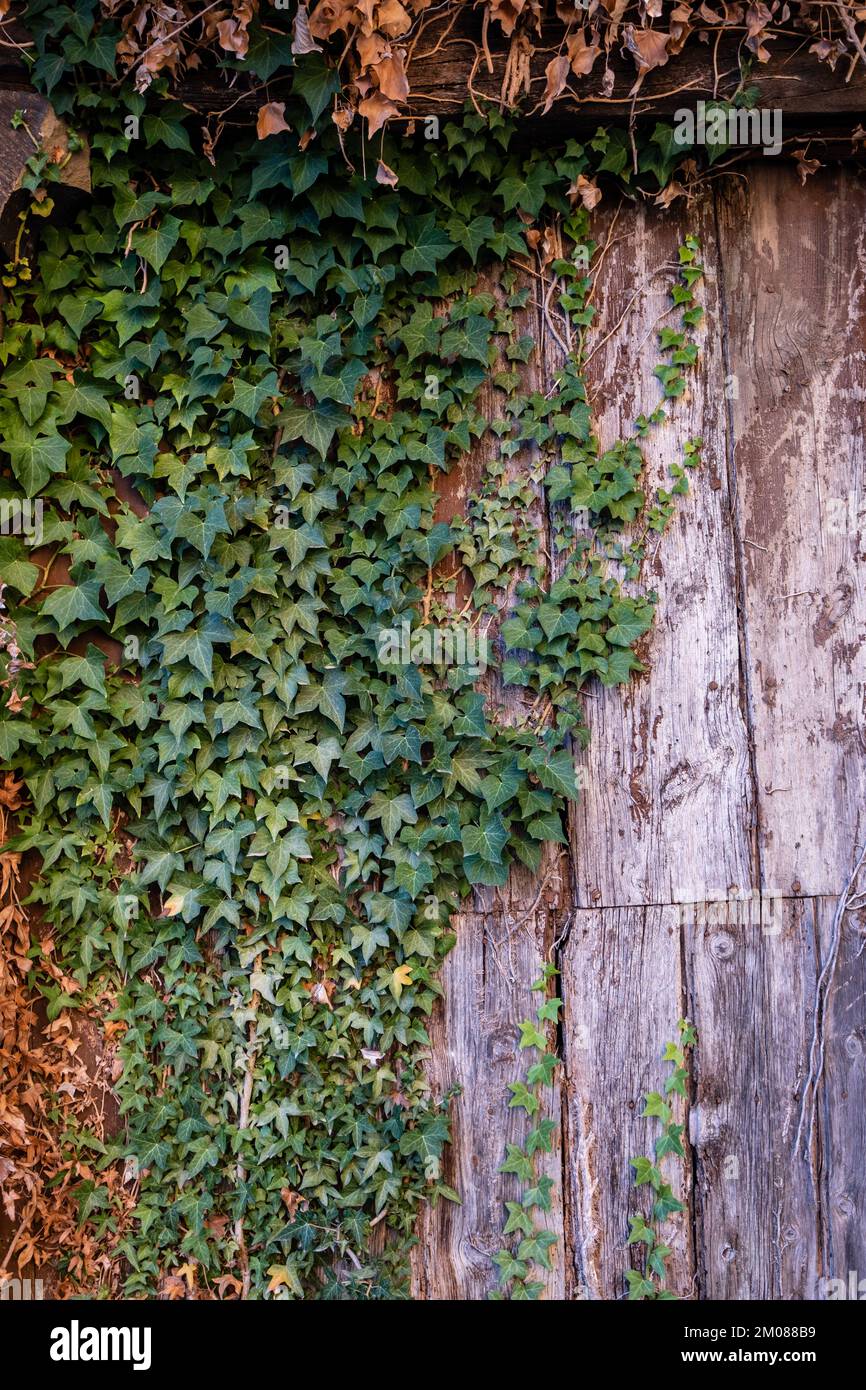 old door, Biel, Cinco Villas, Aragon, Spain Stock Photo - Alamy