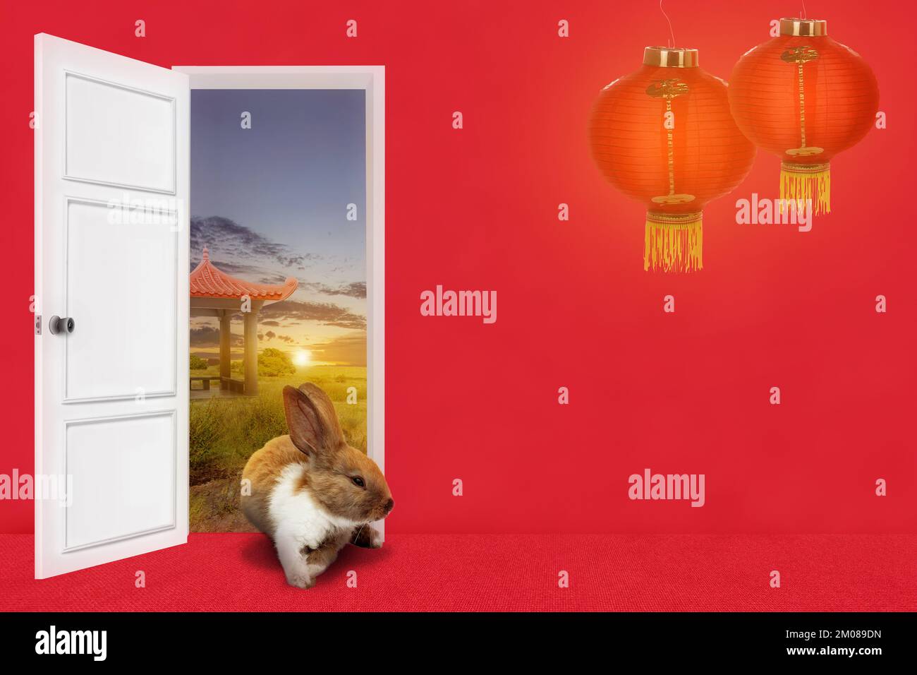 Rabbits come from the door with Chinese lantern background. Happy ...